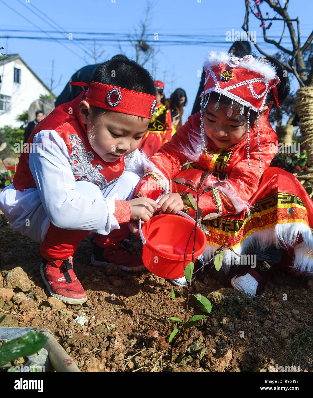 Planting in groups hi-res stock photography and images - Alamy