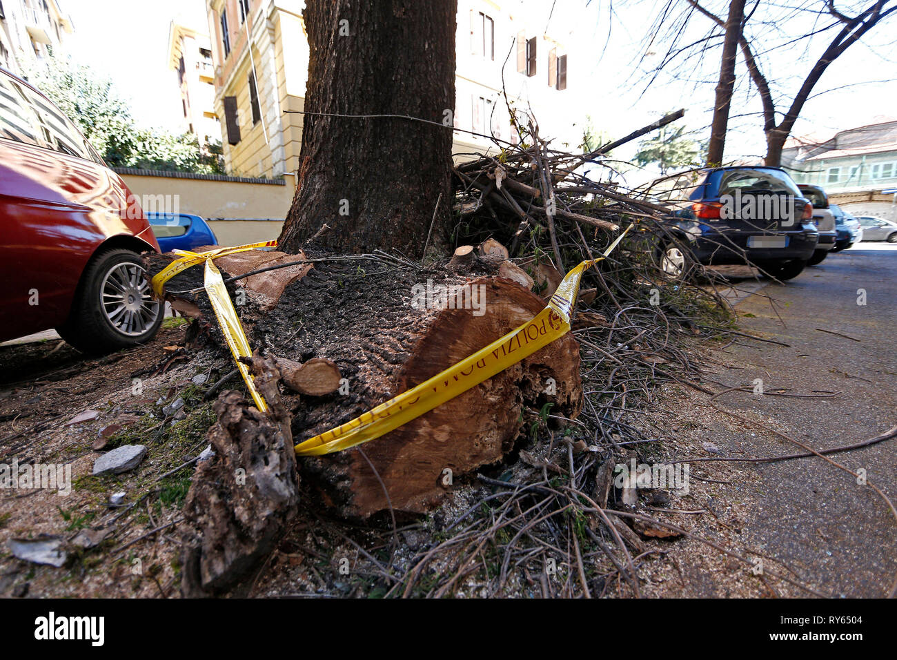 Via dellalbero hi-res stock photography and images - Alamy