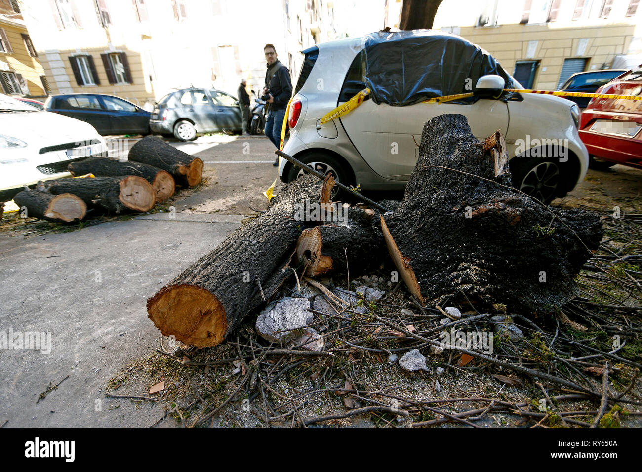 Via dellalbero hi-res stock photography and images - Alamy