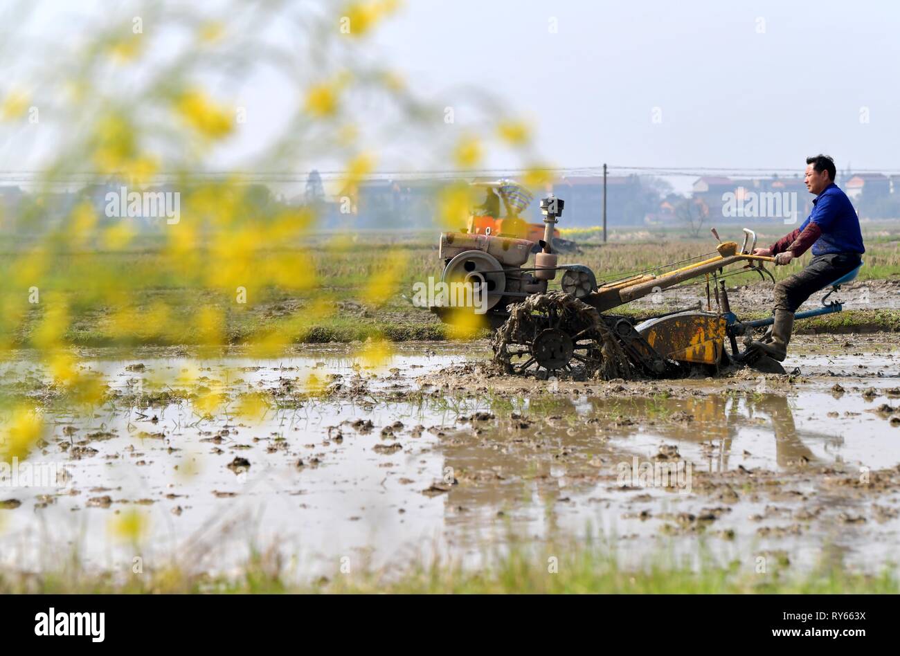 Nanchang. 12th Mar, 2019. Farmers work with farm machineries in fields ...