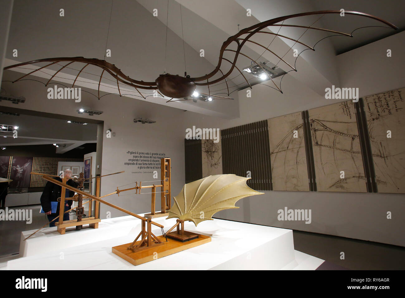 Glider leonardo da vinci hi-res stock photography and images - Alamy