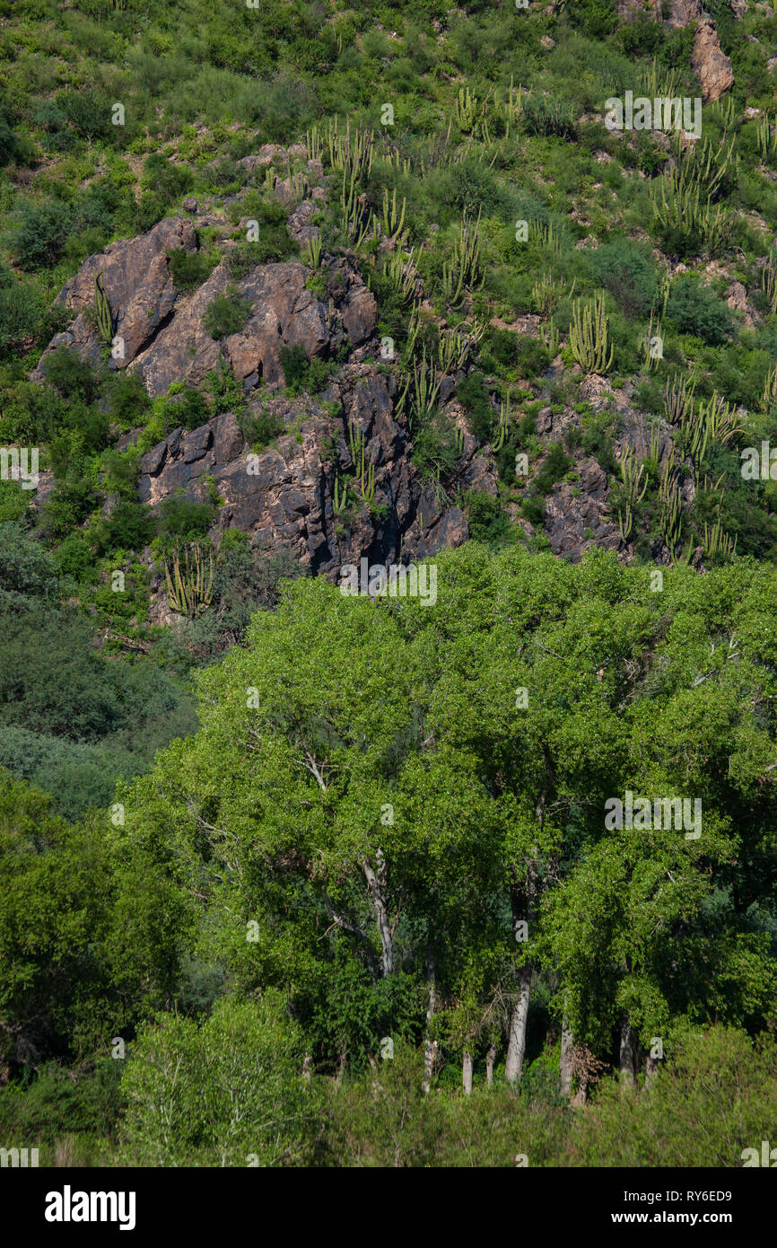 Ruta del rio sonora hi-res stock photography and images - Alamy