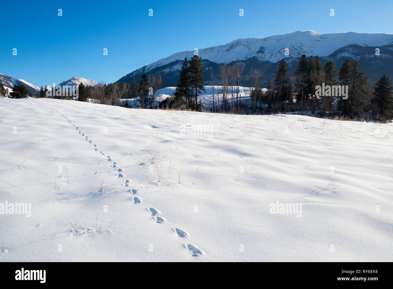 Heritage tracks hi-res stock photography and images - Alamy