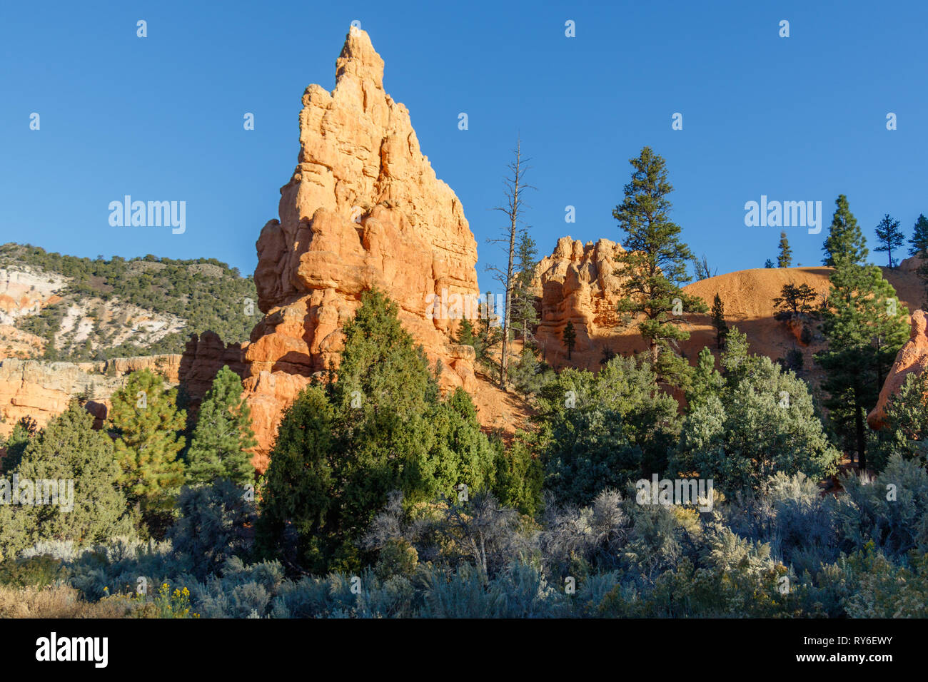 Explore the hoodoos of Red Canyon, Utah and its Claron Limstone rock ...