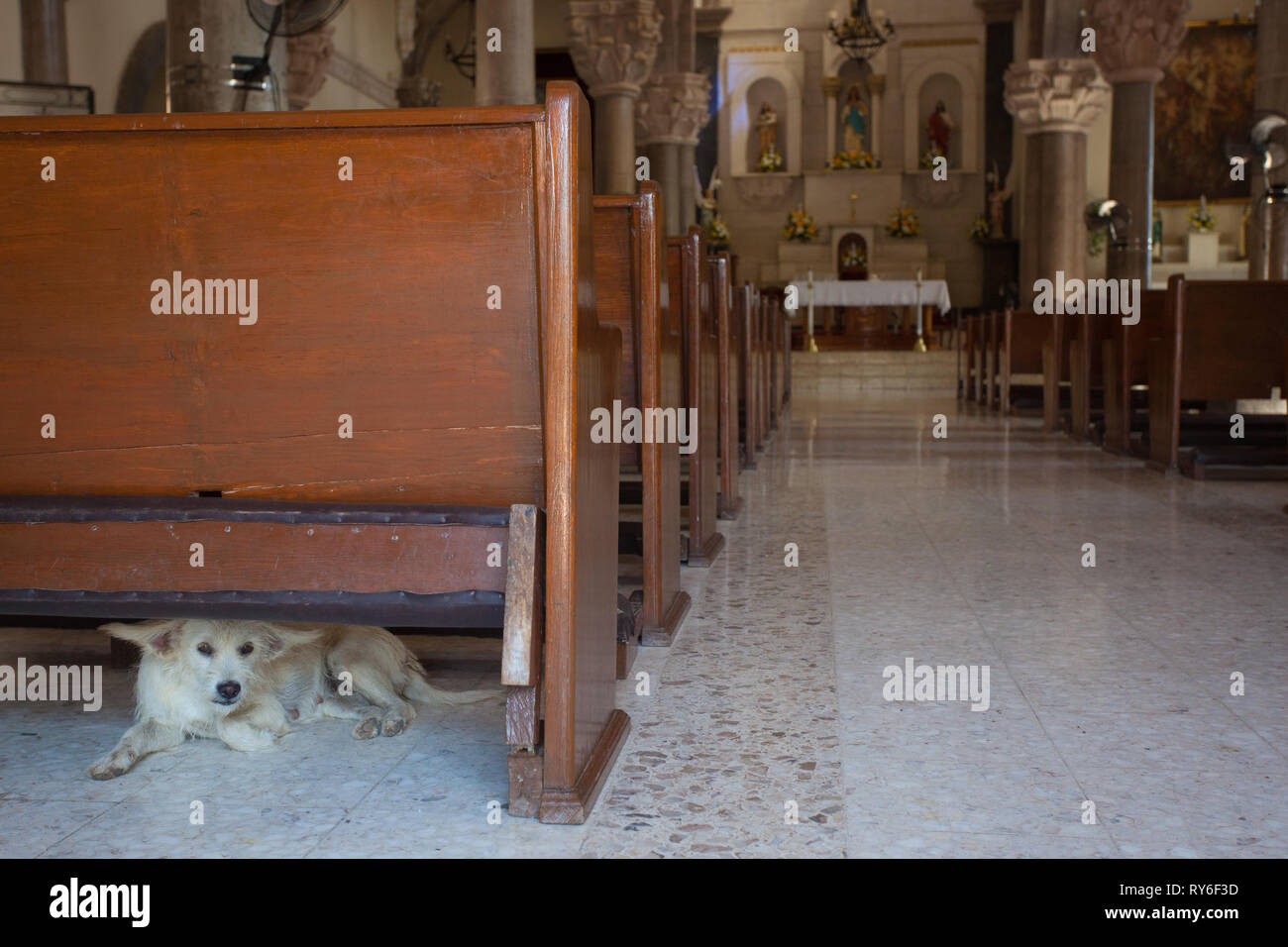 Baviacora, Mpo. Baviacora, Sonora, Mexico Stock Photo - Alamy
