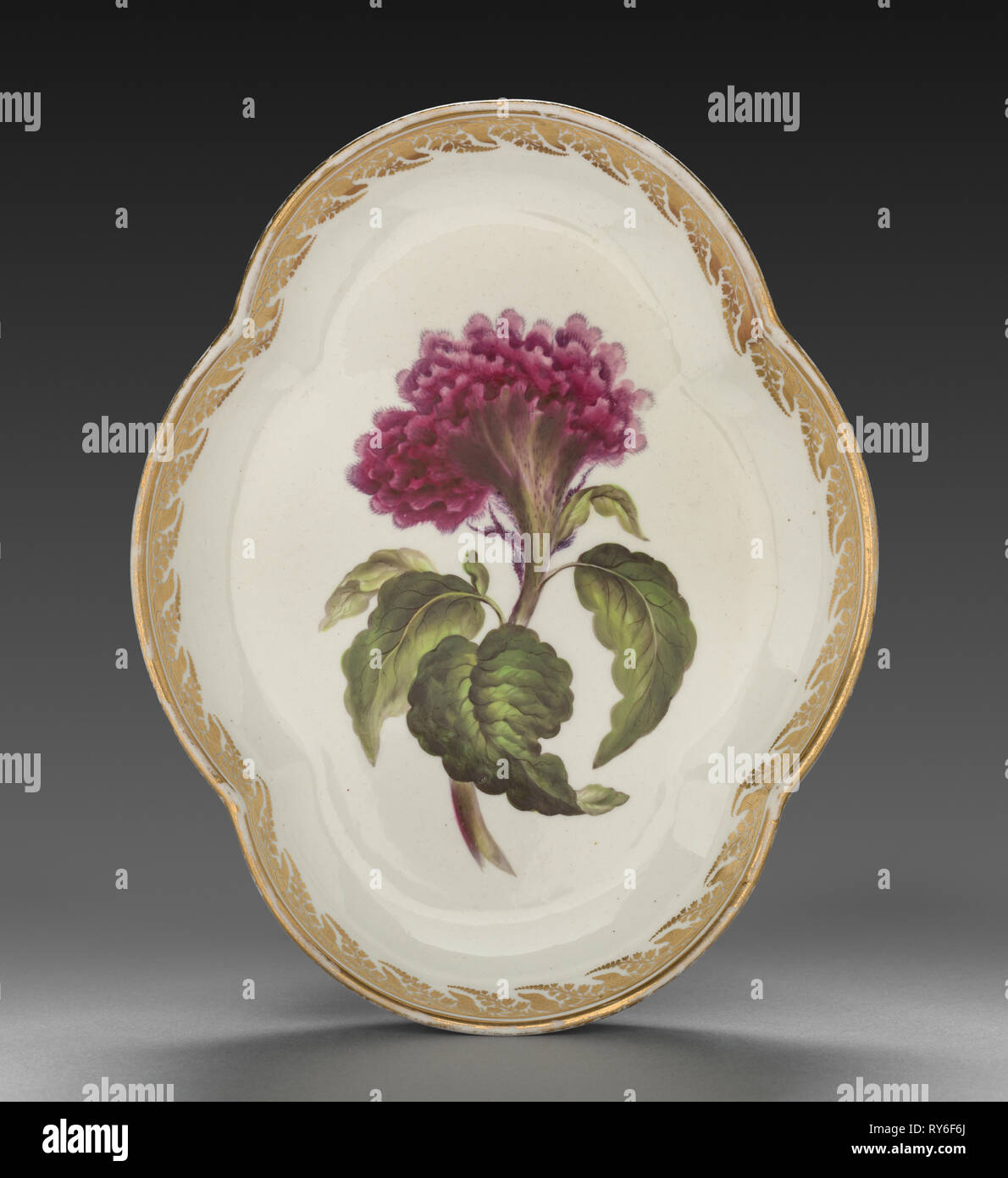 Quatrelobed dish hi-res stock photography and images - Alamy