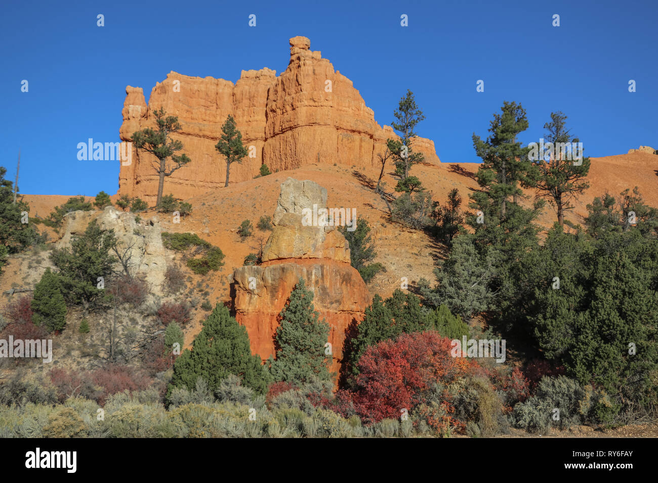 Explore the hoodoos of Red Canyon, Utah and its Claron Limstone rock ...