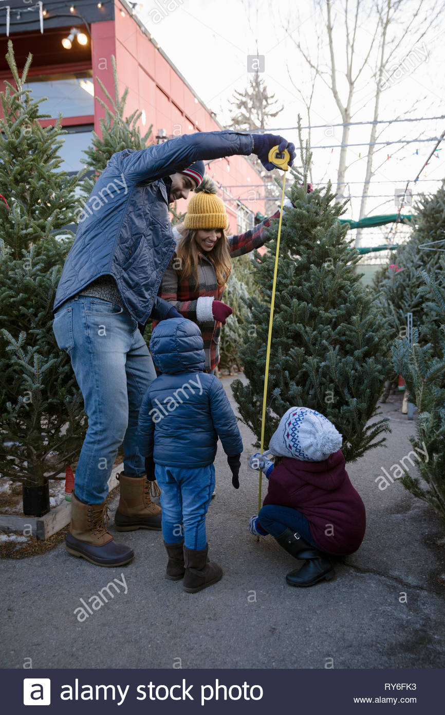 Children measuring tree hi-res stock photography and images - Alamy