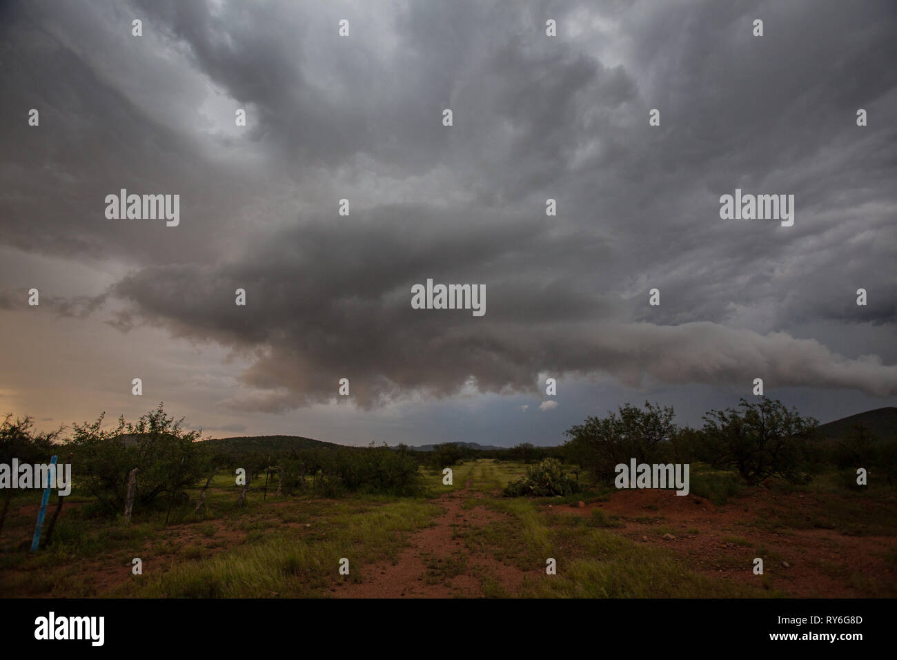 Sasabe hi-res stock photography and images - Alamy