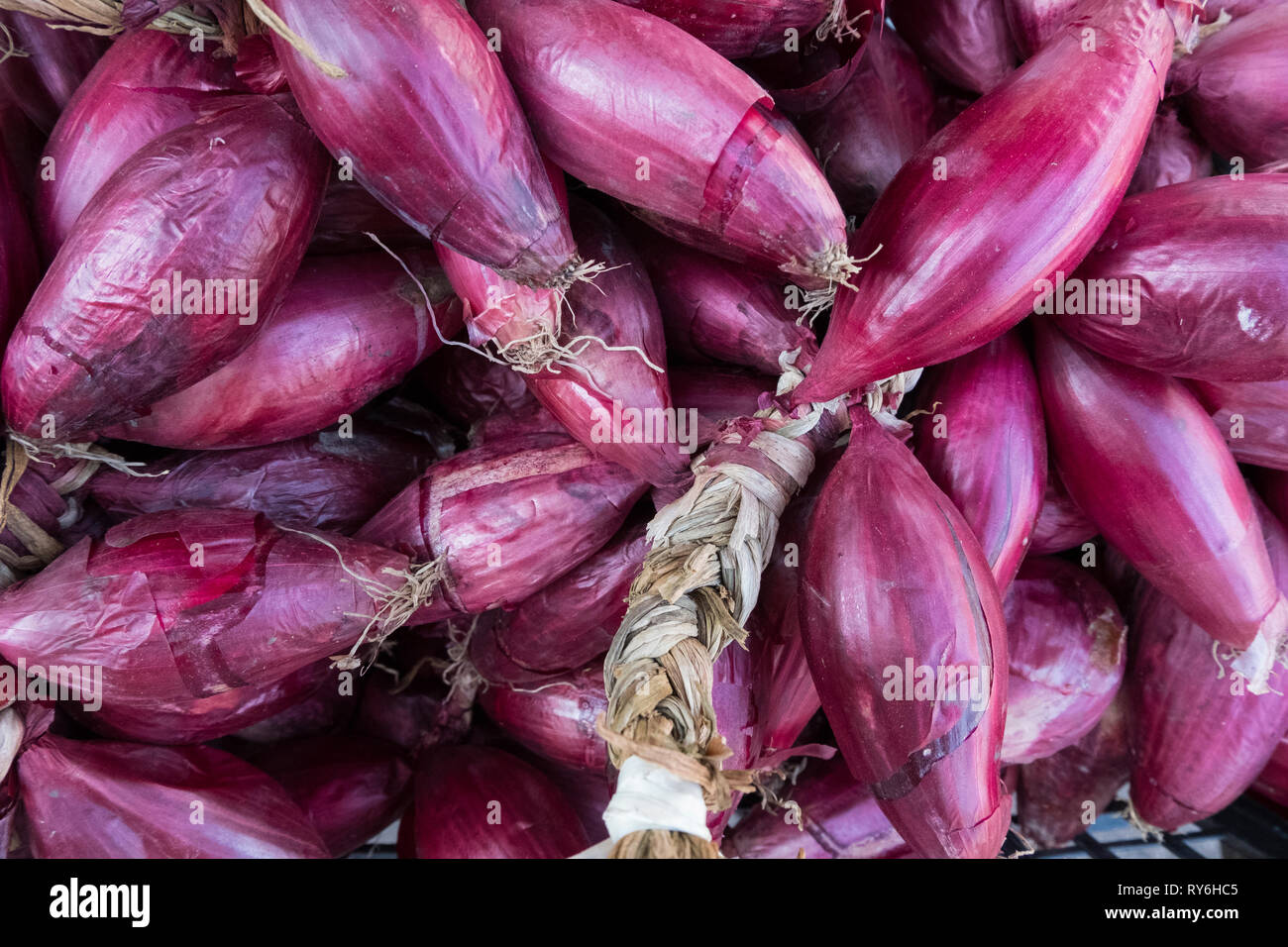 Fresh pink onions hi-res stock photography and images - Alamy