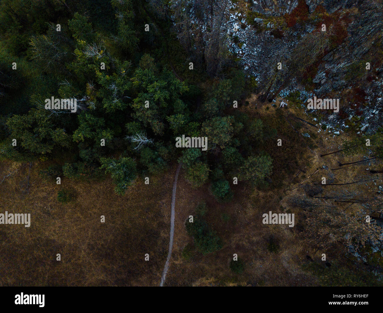 Aerial growth plants trees in hi-res stock photography and images - Alamy