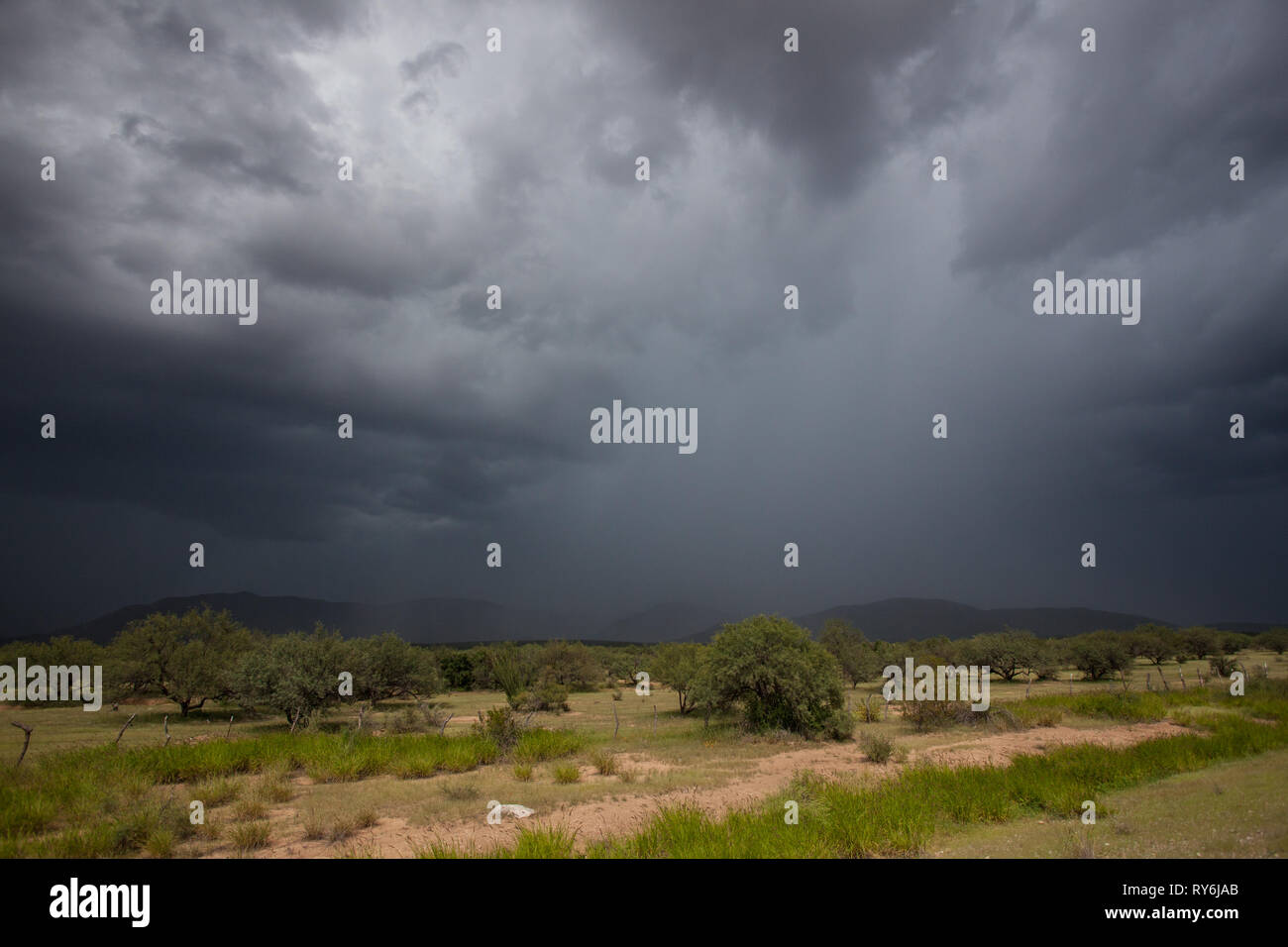 Magdalena de Kino, Mpo. Magdalena, Sonora, Mexico Stock Photo - Alamy