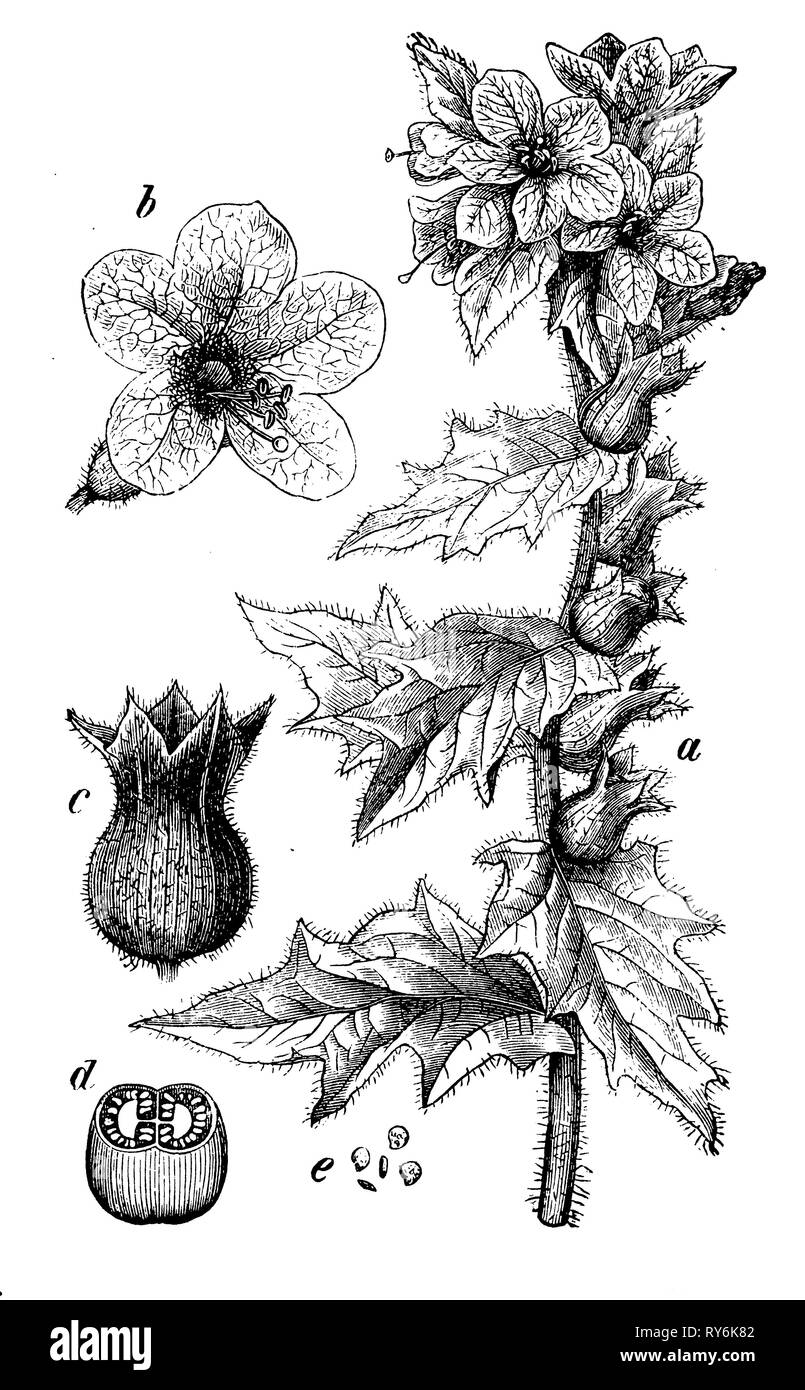 1898 black Cut Out Stock Images & Pictures - Alamy