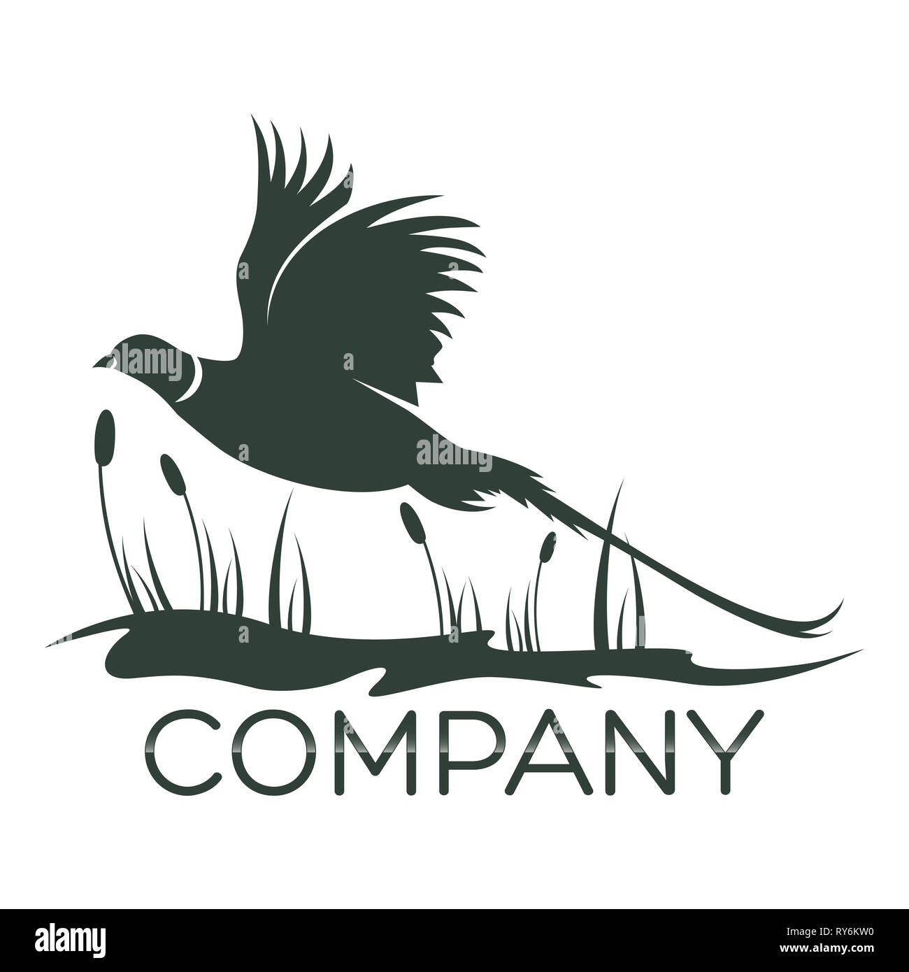 Silhouette of pheasant hi-res stock photography and images - Alamy