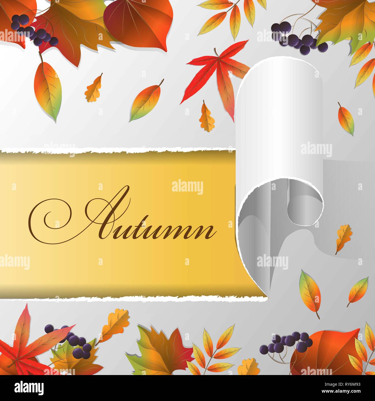 Floral wallpaper torn Stock Vector Images - Alamy