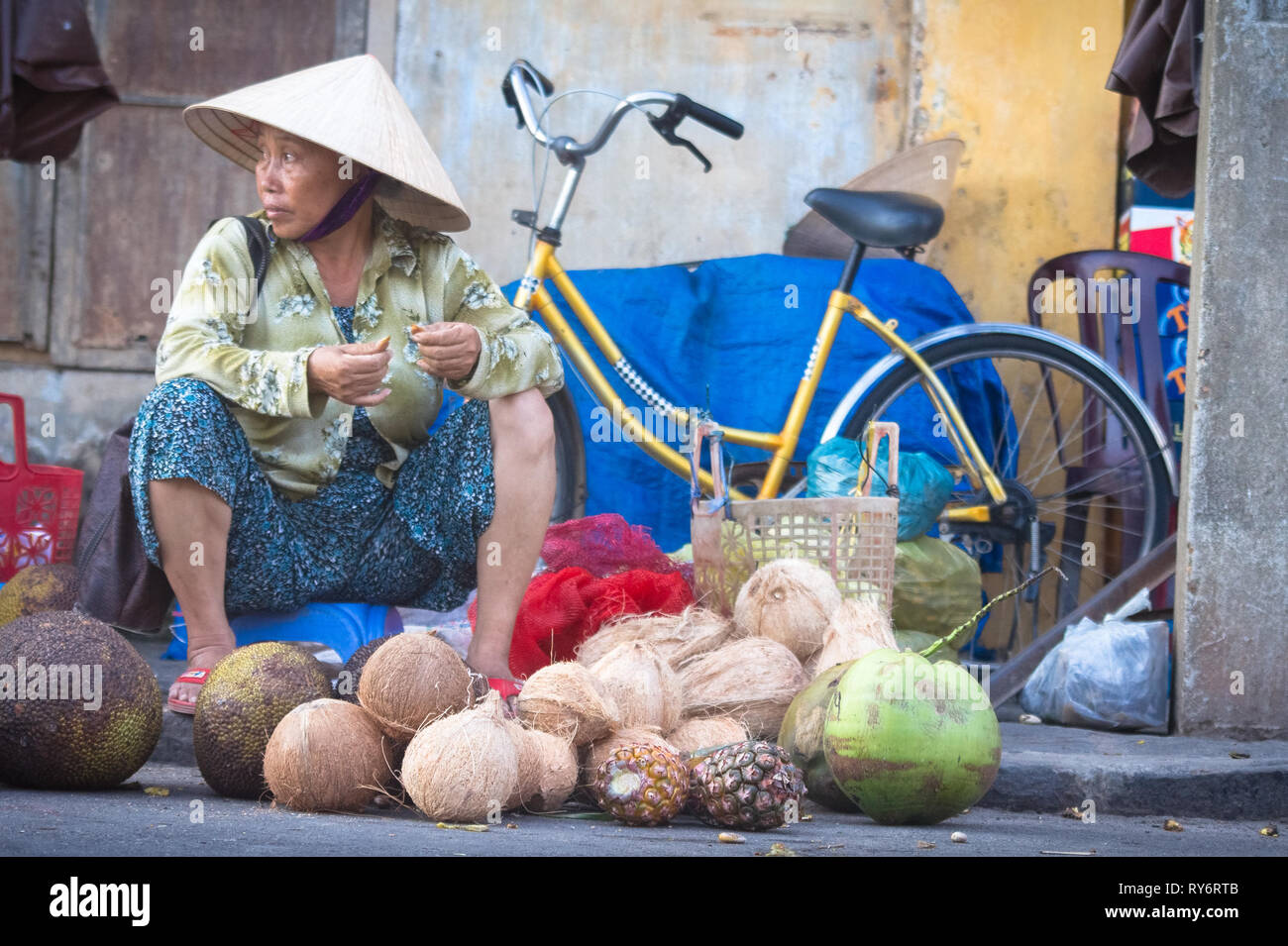 Vietnamese Vendor Woman Selling Coconuts By Bicycle in Traditional ...