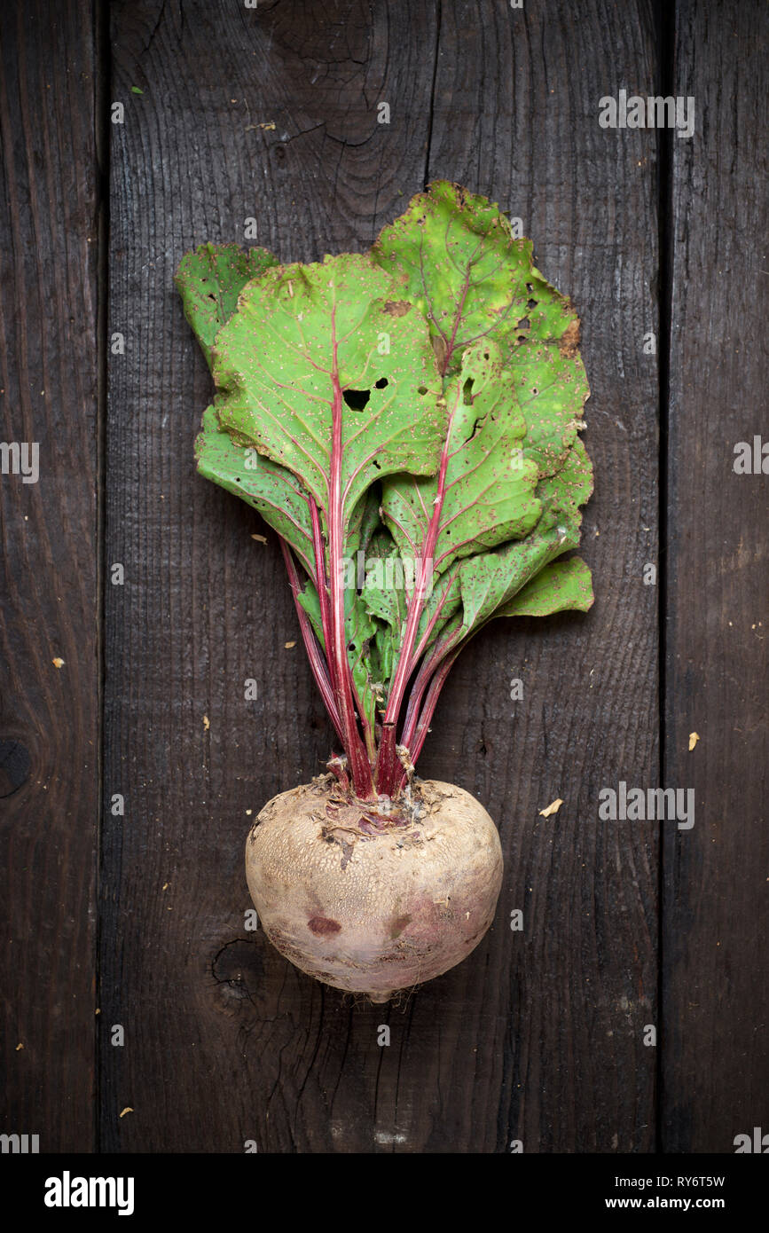 Common table hi-res stock photography and images - Alamy