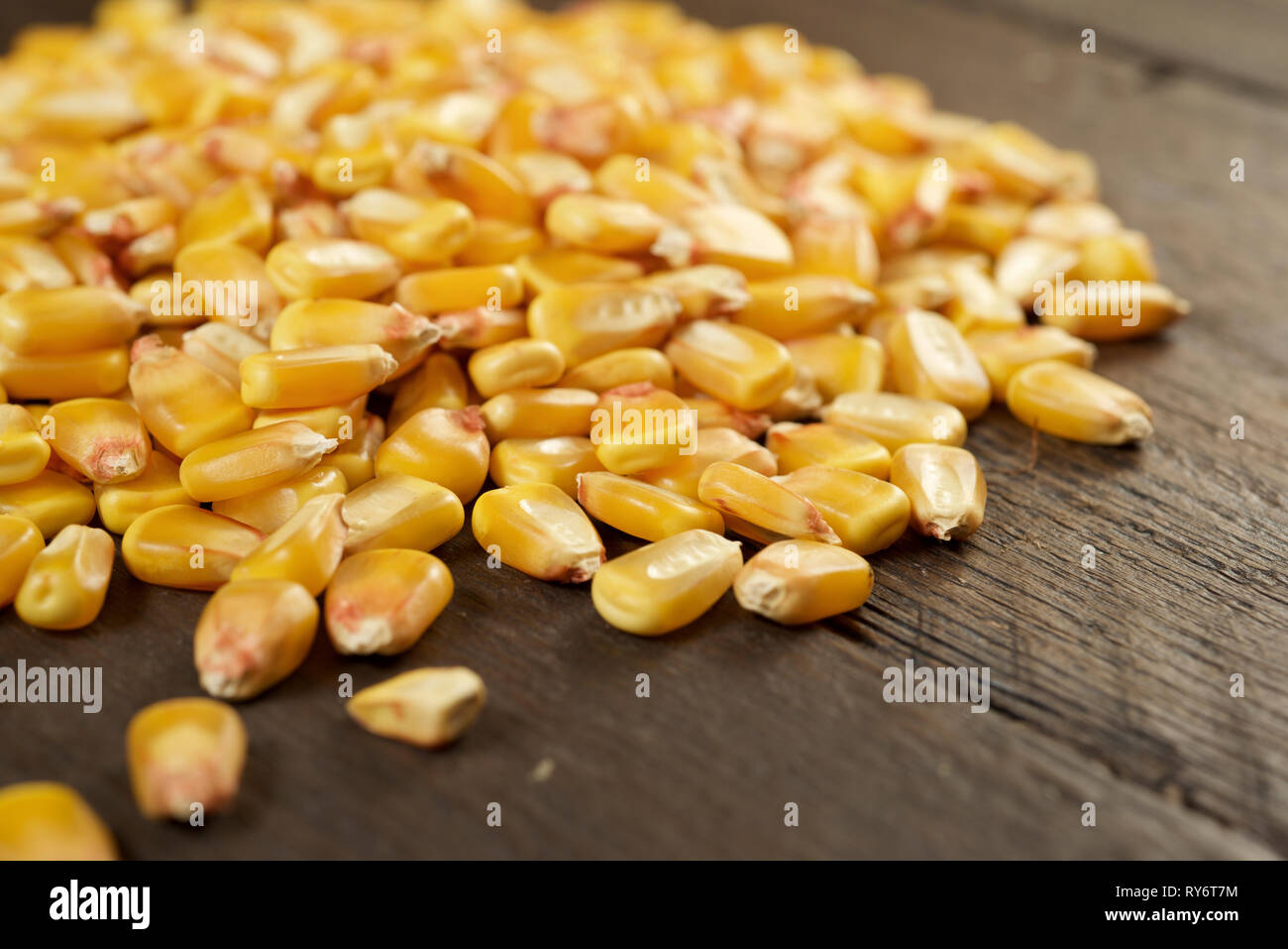 Corn kernels hi-res stock photography and images - Alamy