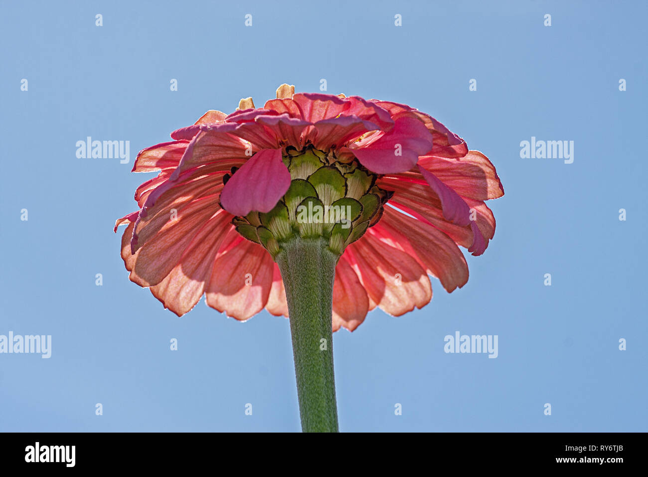 Below view isolated hi-res stock photography and images - Alamy