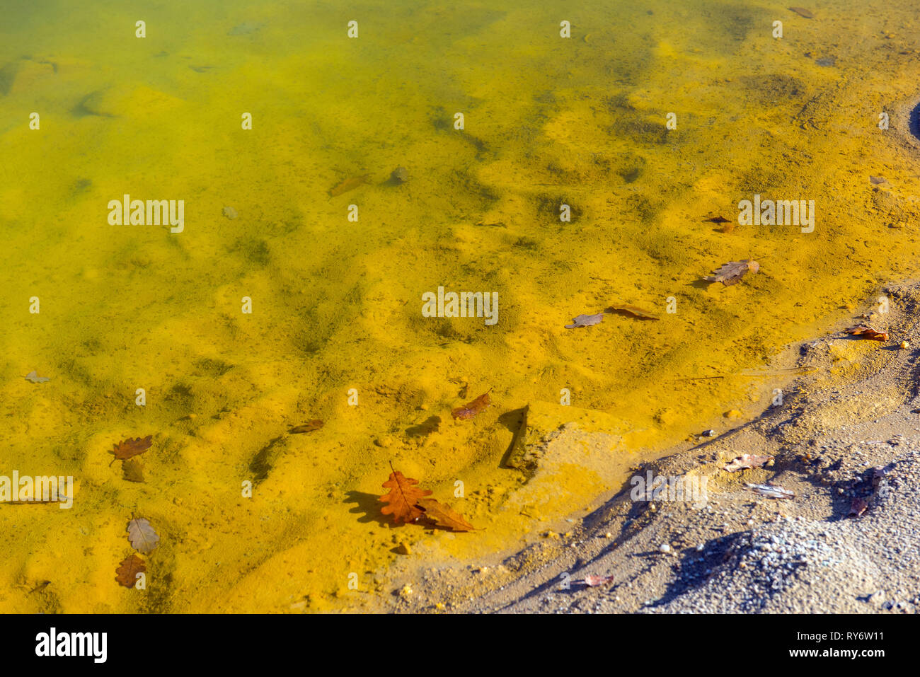 Colorful lake shore showing yellow polluted waste water Stock Photo - Alamy