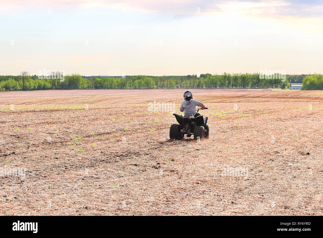 A young child quading away on an open spring field Stock Photo - Alamy