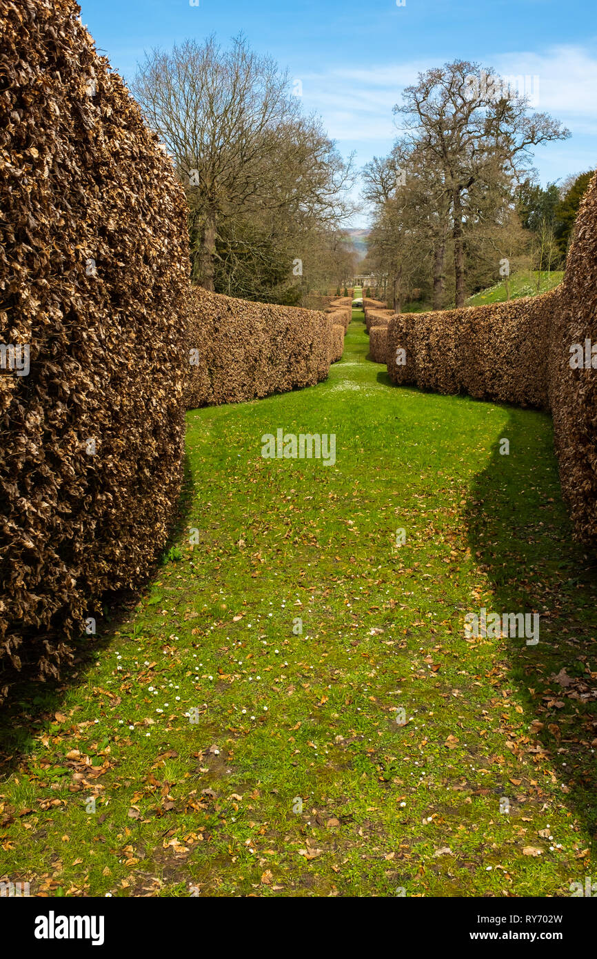 Spiral hedge hi-res stock photography and images - Alamy