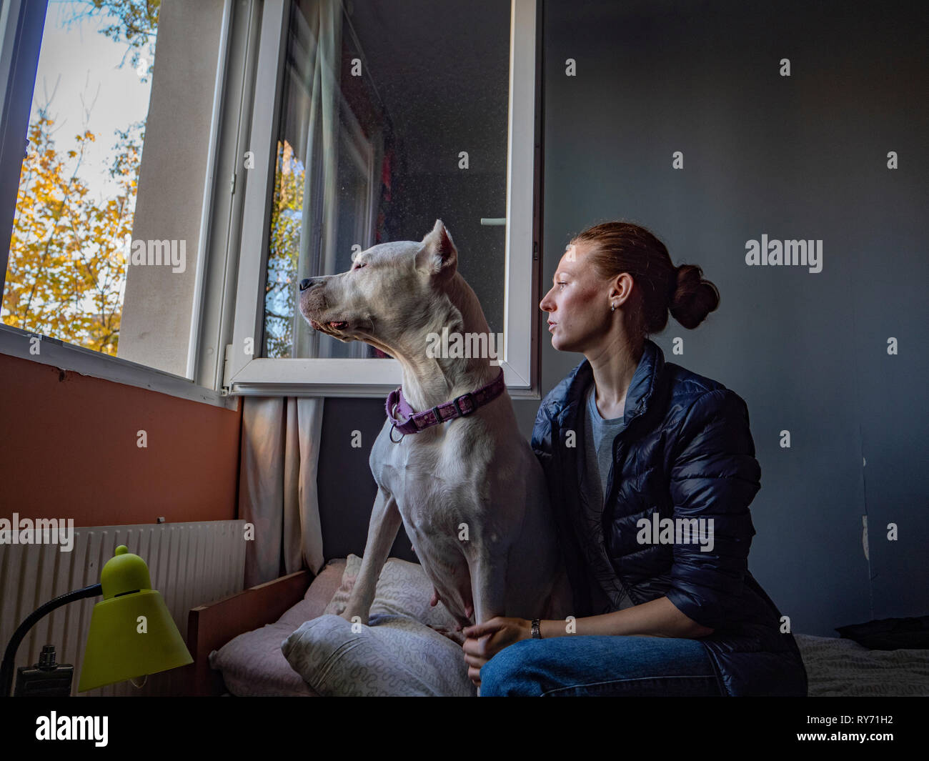 Woman great dane hi-res stock photography and images - Alamy