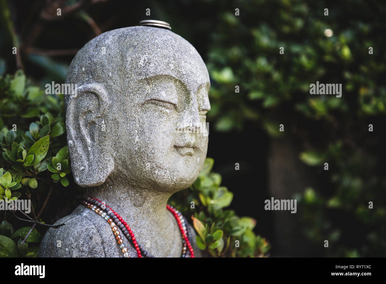 Statue and trees hi-res stock photography and images - Alamy