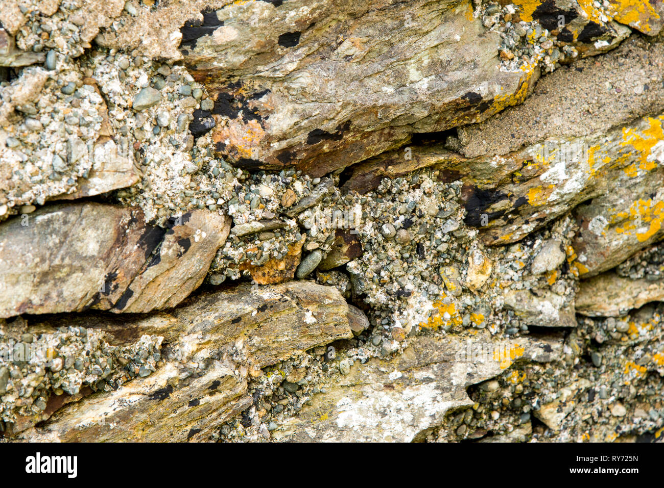 Fossil layers ground surface hi-res stock photography and images - Alamy