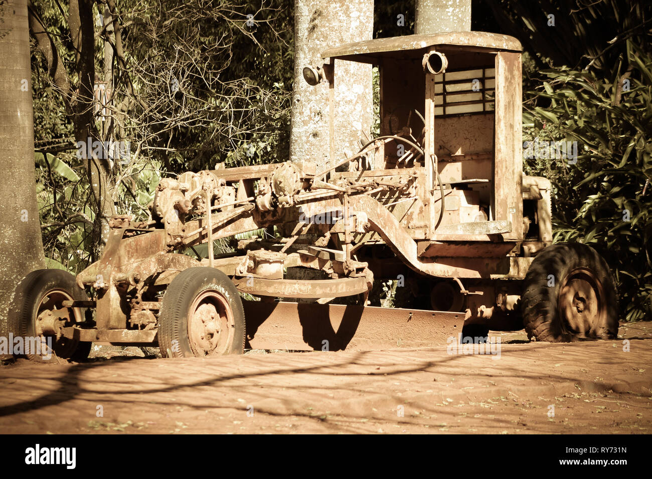 various food dishes, pizza, sphirra, snacks and various Stock Photo - Alamy