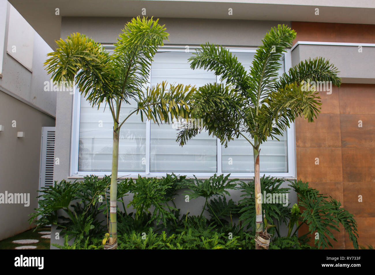 various food dishes, pizza, sphirra, snacks and various Stock Photo - Alamy