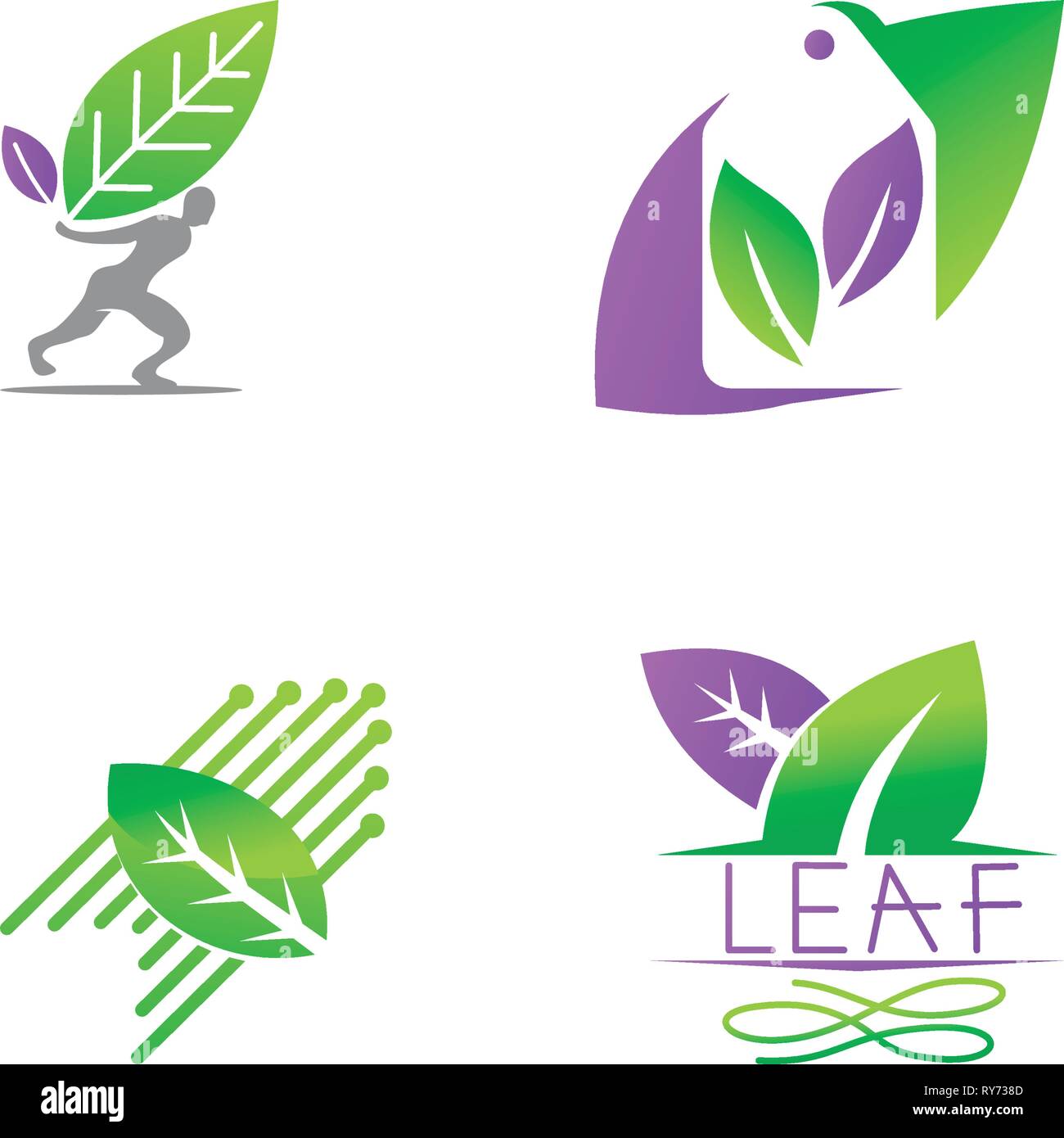 Leaf Logo Design Vector Template Set Stock Vector Image & Art - Alamy