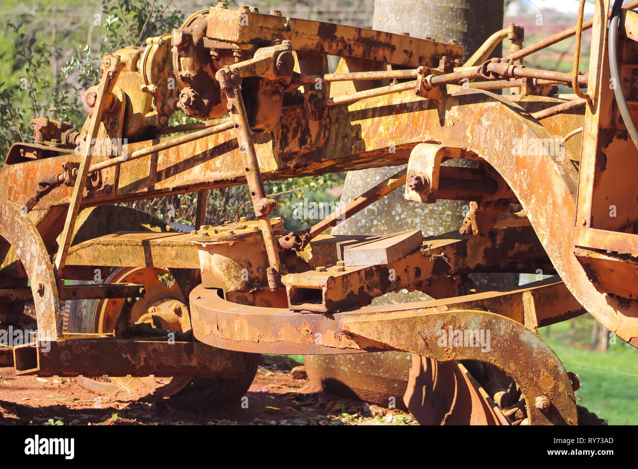various food dishes, pizza, sphirra, snacks and various Stock Photo - Alamy