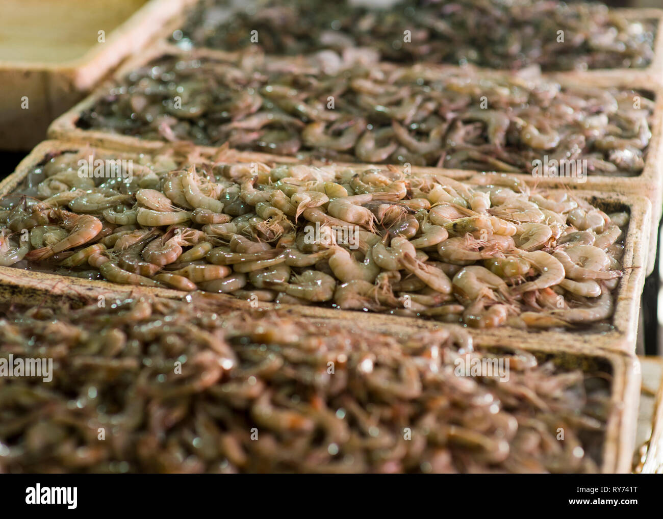 Prawns for sale at the fish market hi-res stock photography and images ...