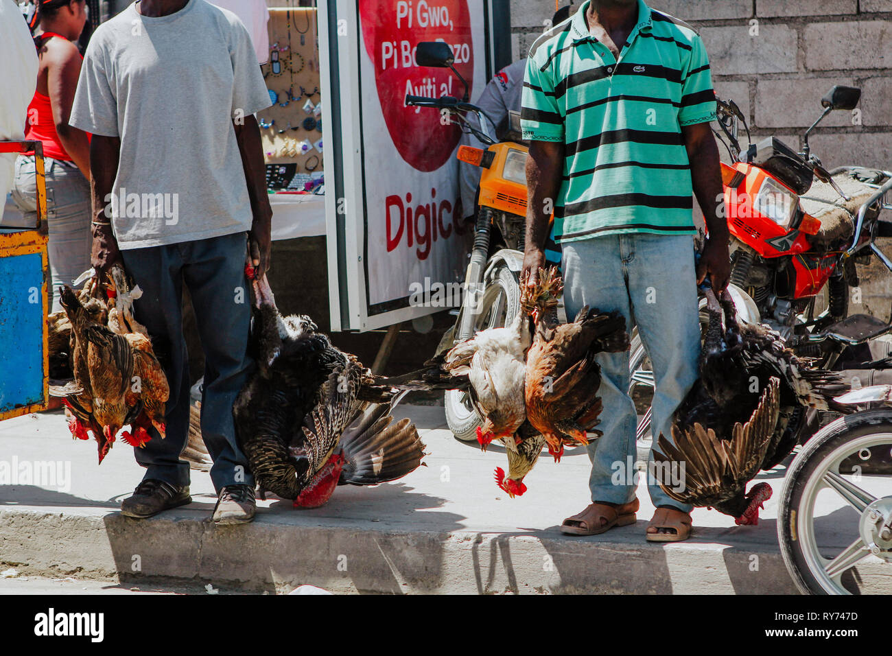 Low section of men carrying chickens while standing on road in city ...