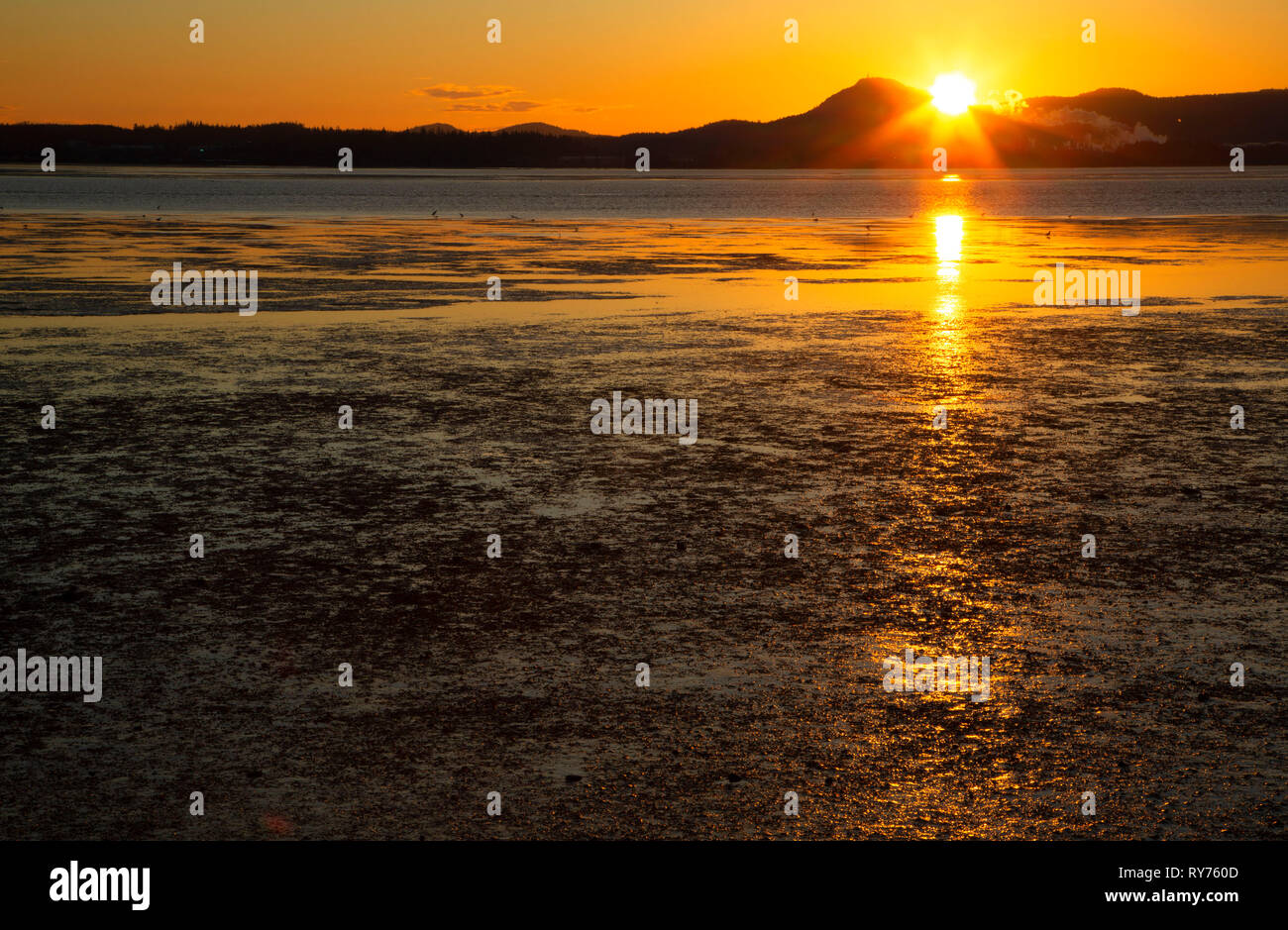 Skagit bay mudflat hi-res stock photography and images - Alamy