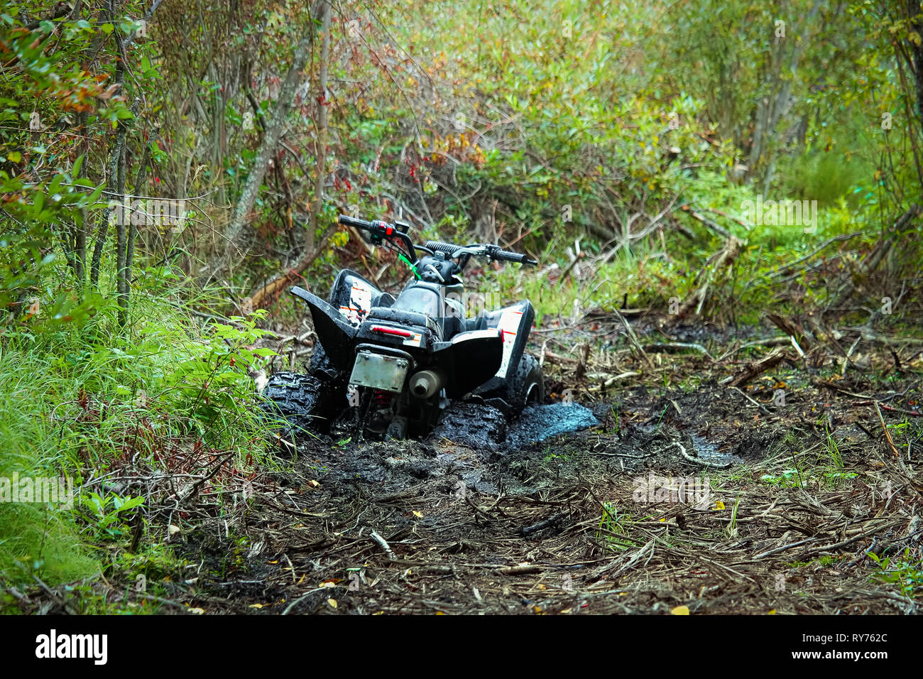 Stuck in quicksand hi-res stock photography and images - Alamy