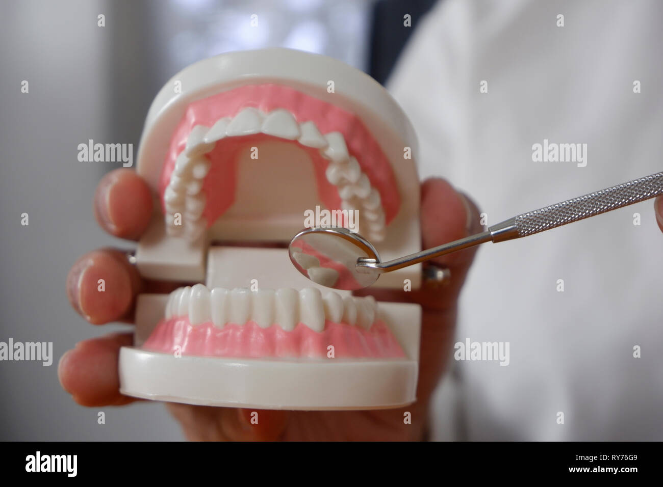 Dentist using tools on teeth model in dental office/ professional ...
