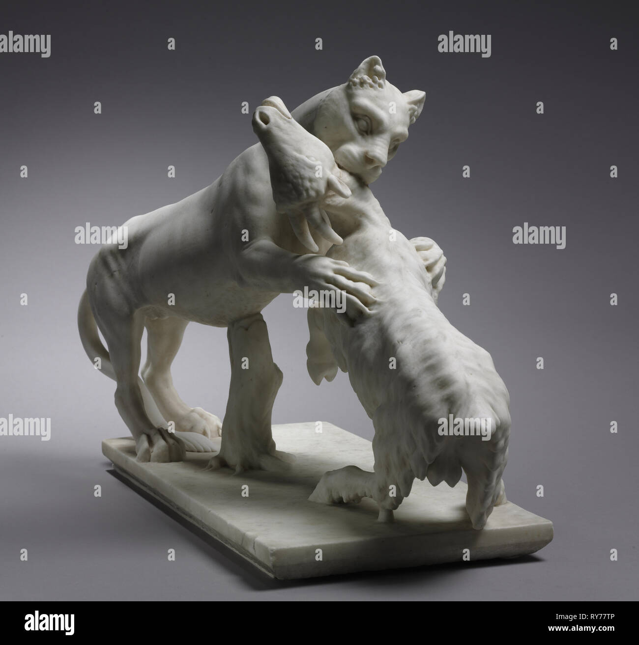 Panther Attacking Animal