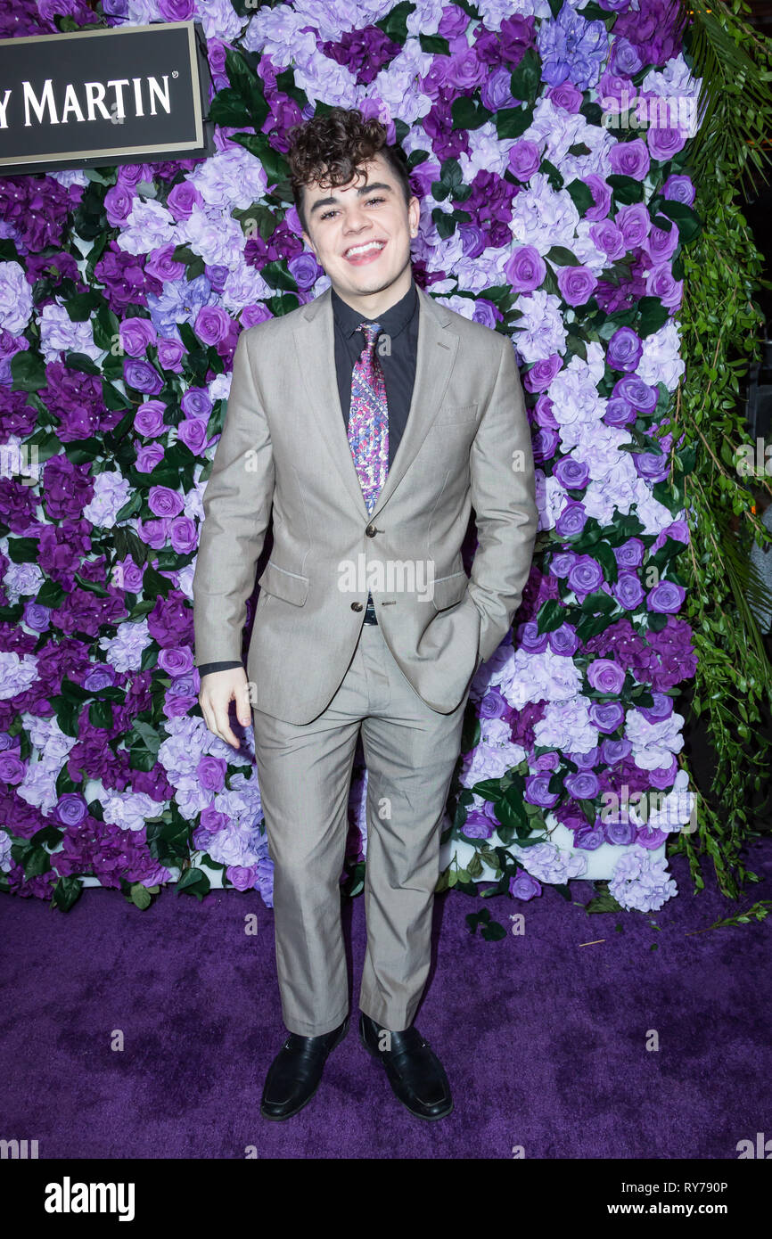 Los Angeles, USA. 24th February 2019. Brandon Stewart arrives at The ...
