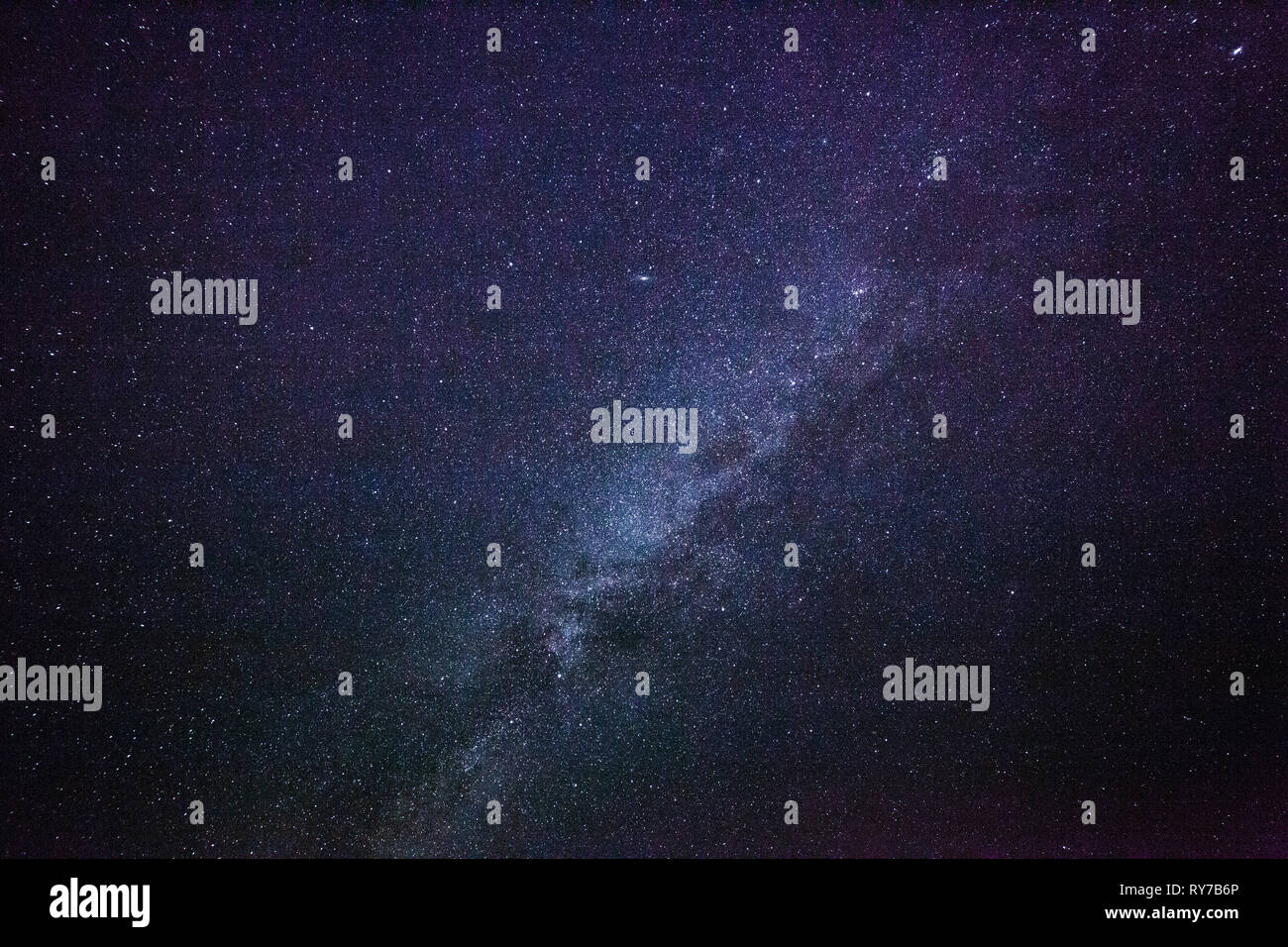 Wild night out hi-res stock photography and images - Alamy