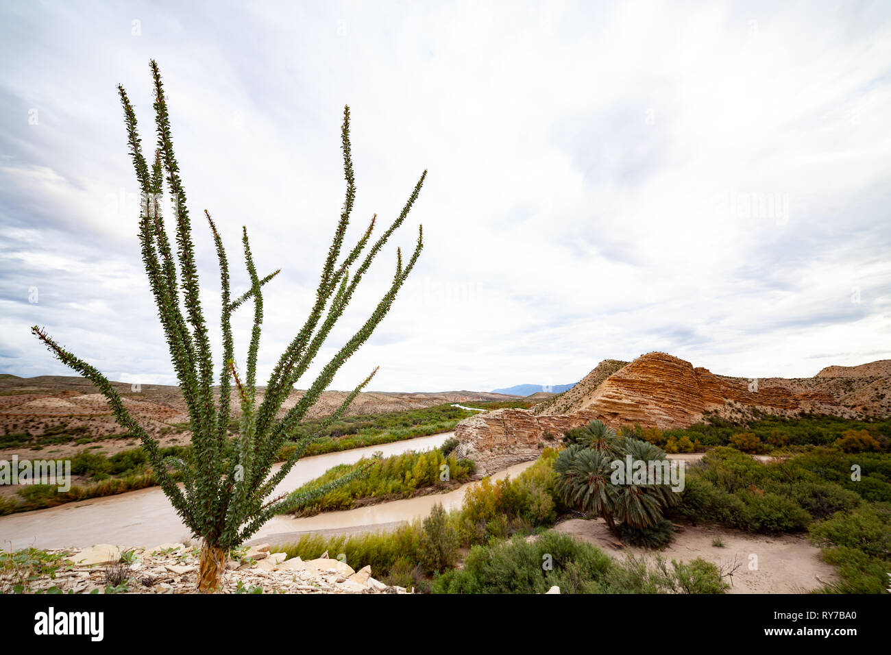Village ecosystem hi-res stock photography and images - Alamy