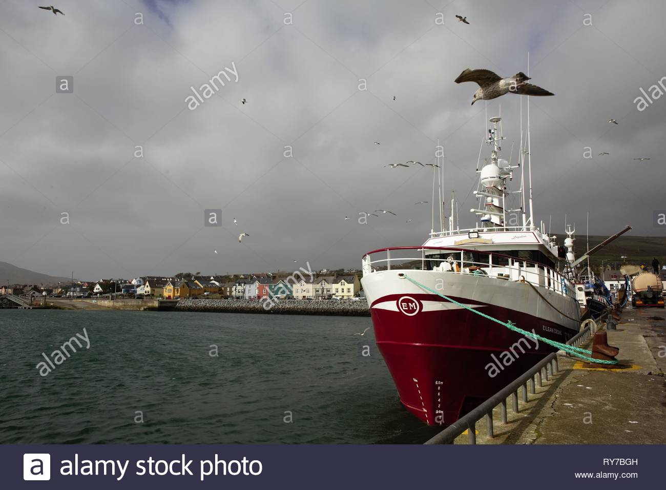 Dingle fishing boats hi-res stock photography and images - Alamy