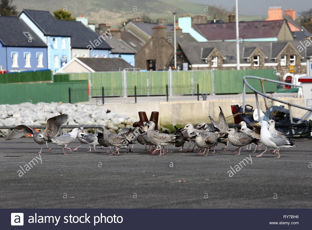 Irish maritime scene hi-res stock photography and images - Alamy