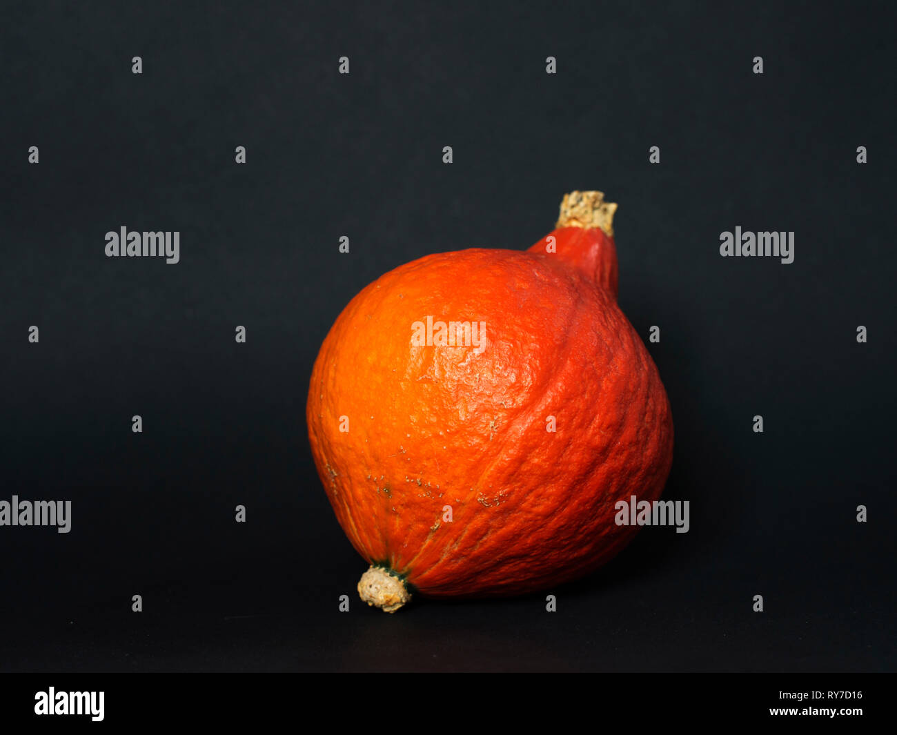 Hokkaido squash hi-res stock photography and images - Alamy