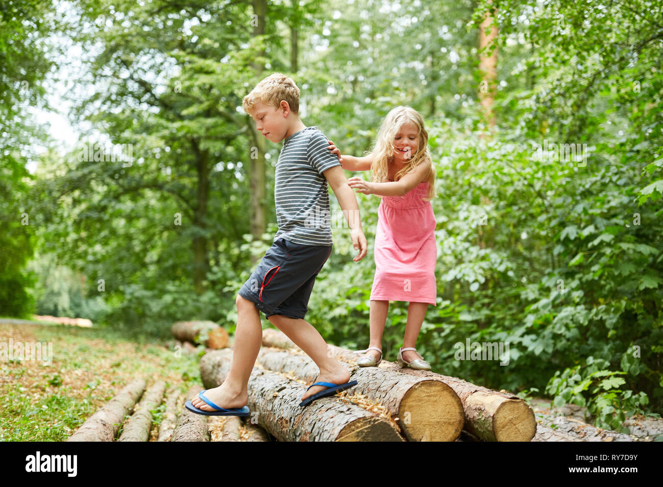 Two siblings children climb together on tree trunks in the wilderness ...