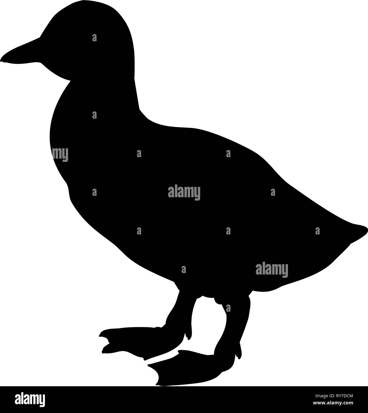Gosling bird black silhouette animal. Vector Illustrator Stock Vector ...