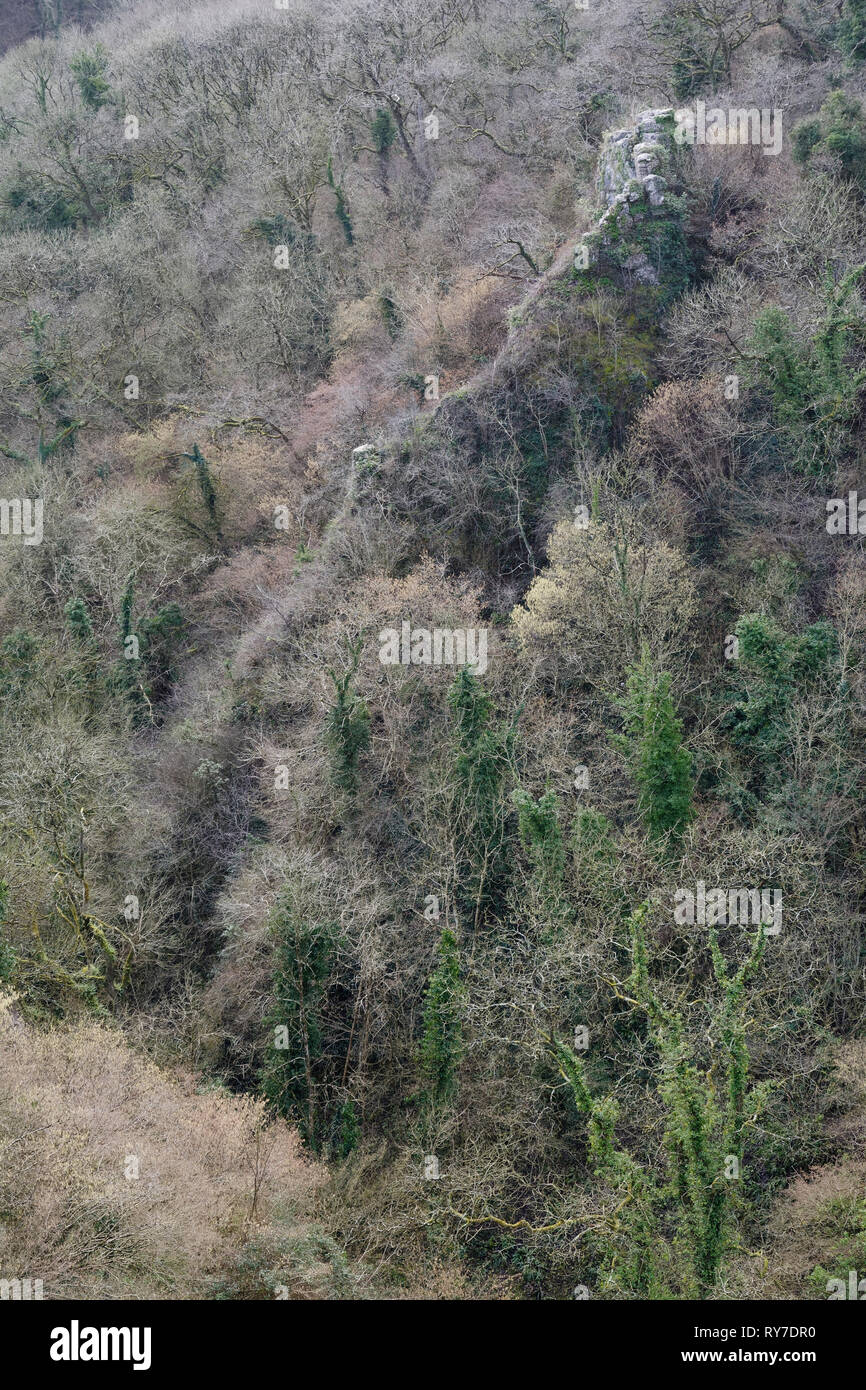 Ebbor Gorge High Resolution Stock Photography and Images - Alamy