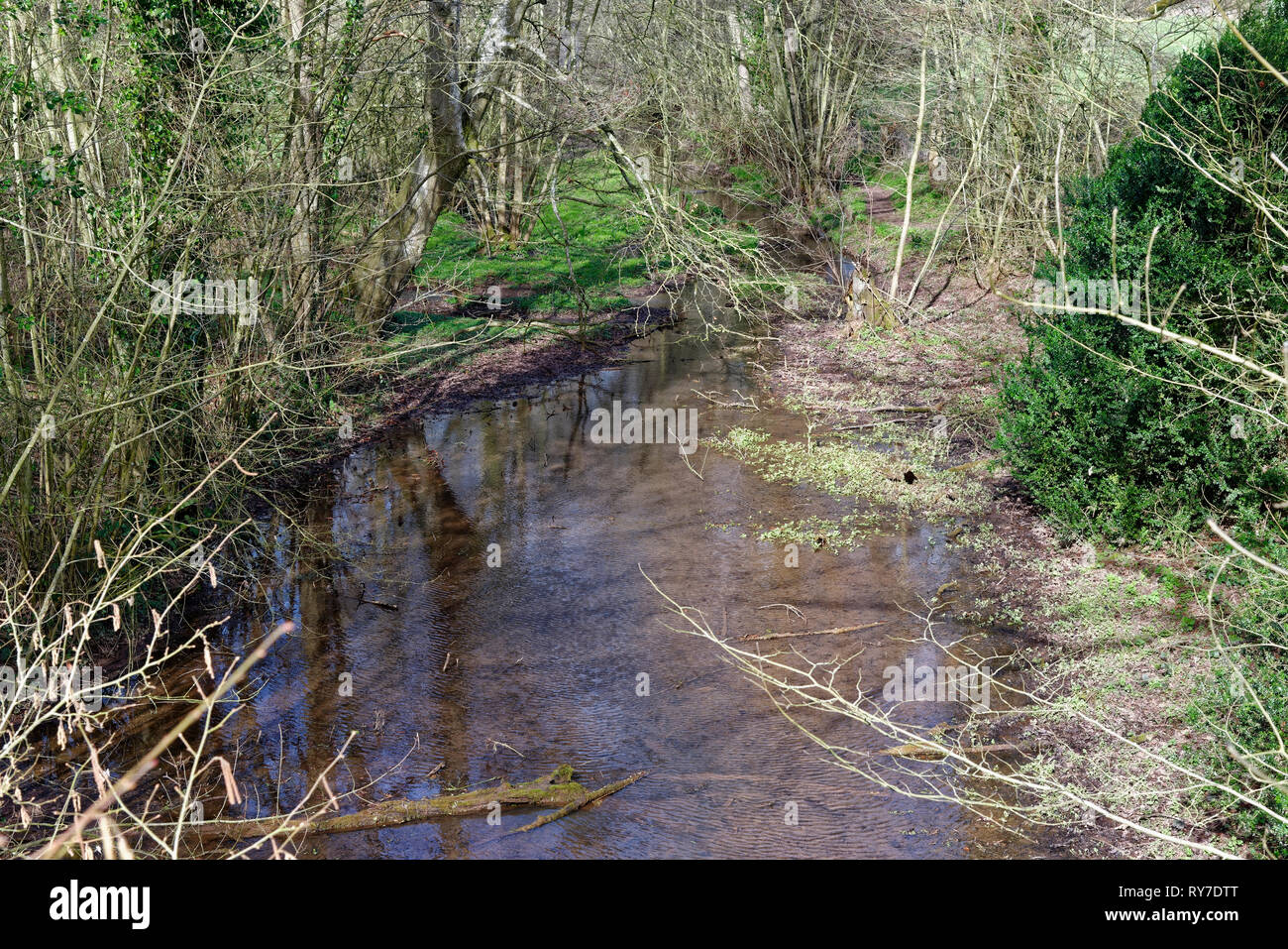 Disused Herefordshire and Gloucestershire Canal at Boyce Court Bridge ...