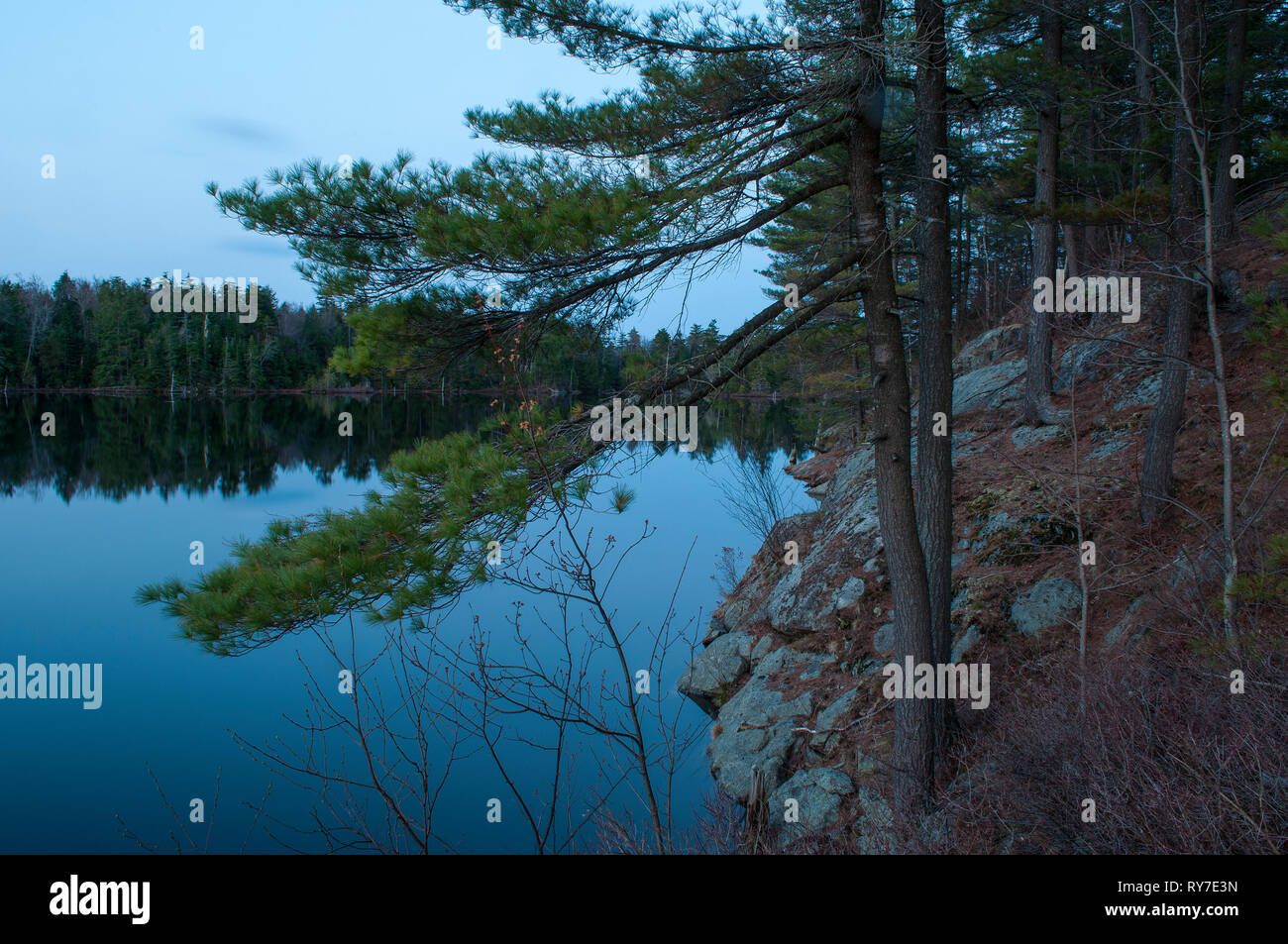 First light at Springhill Pond in spring in the Adirondack State Park ...